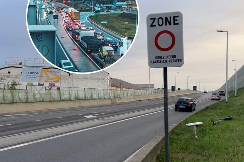 Wie is Eshref Reybrouck, de aanstaande van Cath Luyten? “Ik kan dag en ...