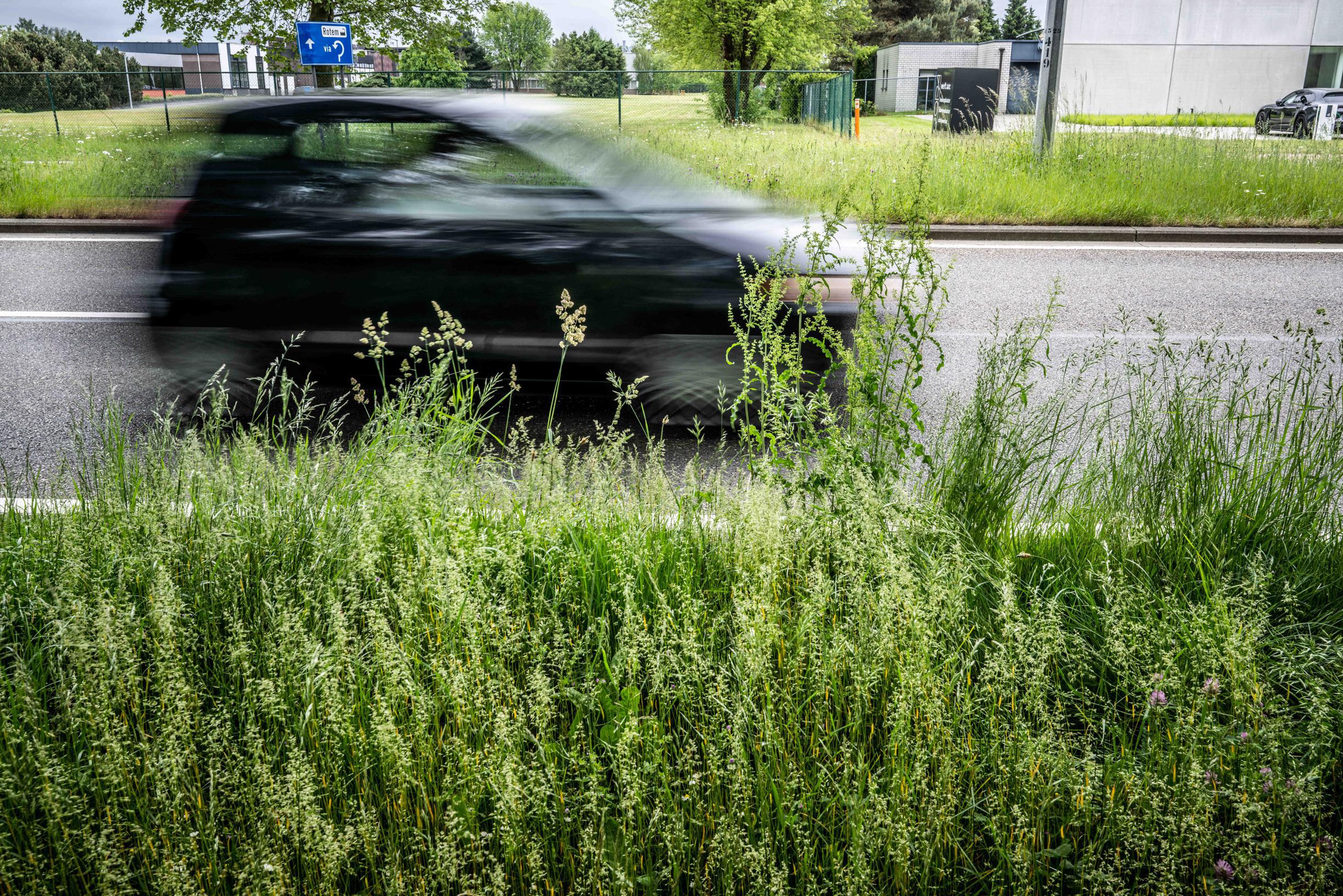 “Natte broek op fietspad door overhangend bermgras” | GVA