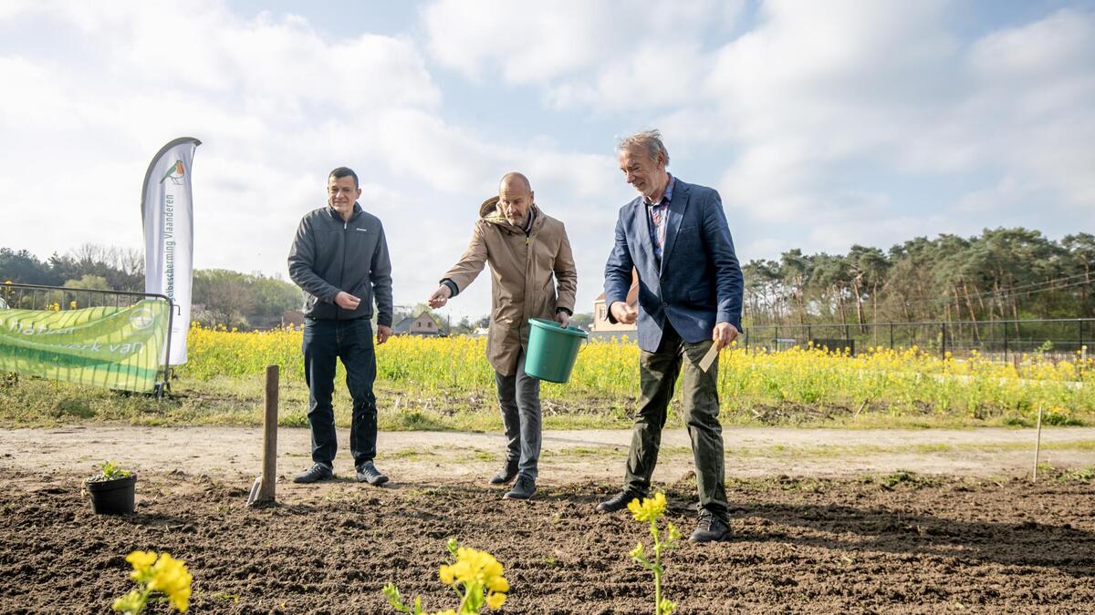 Vogel van het Jaar krijgt extra aandacht in Grasheide: “Speciale ...