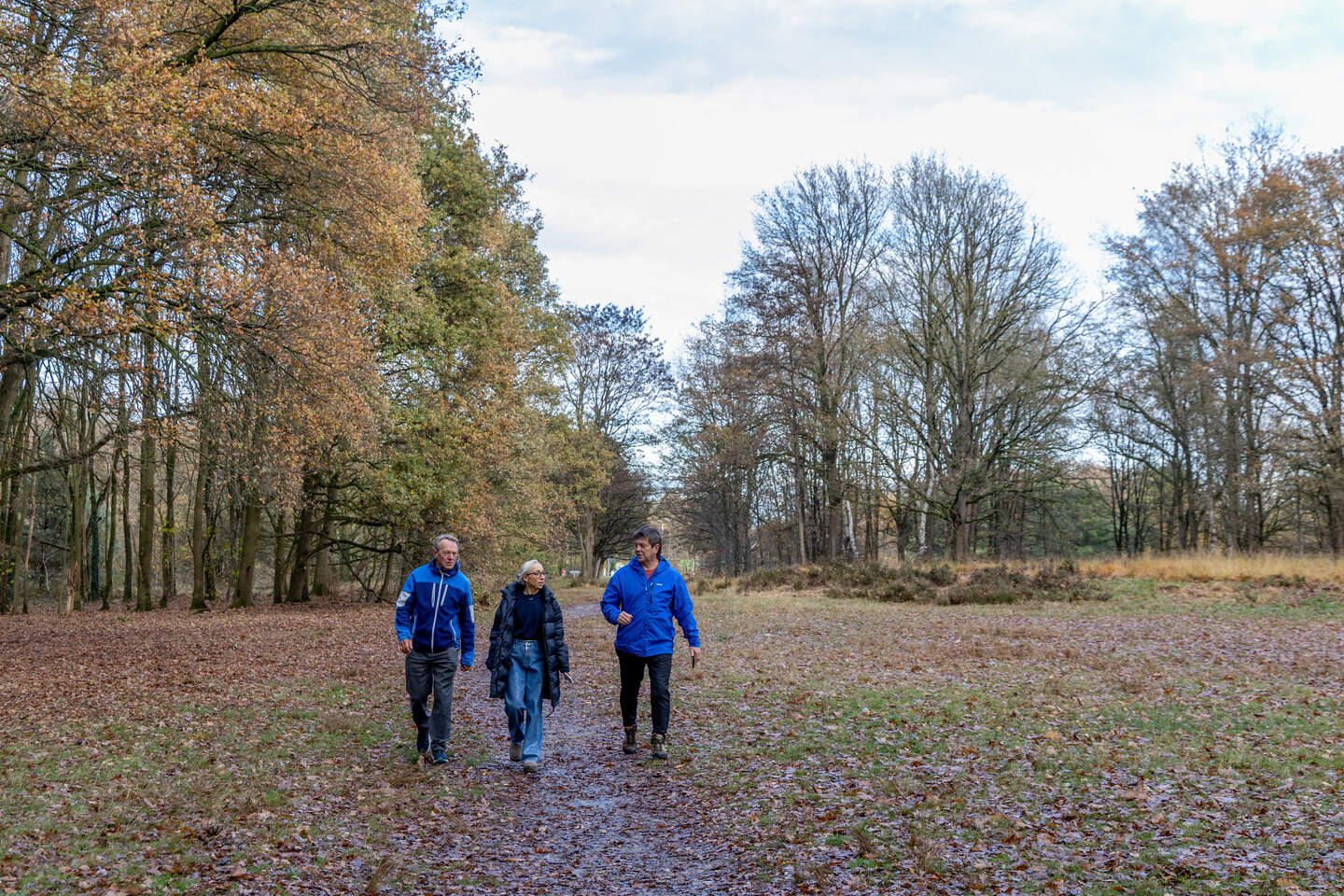 Het dak van de provincie ligt op de ‘Bjeizelberg’: “Op een heldere dag ...