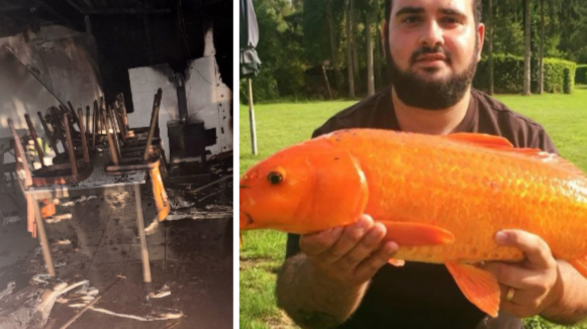 De Loze Visser mag afgebrande kantine niet heropbouwen: “Wij worden na ...