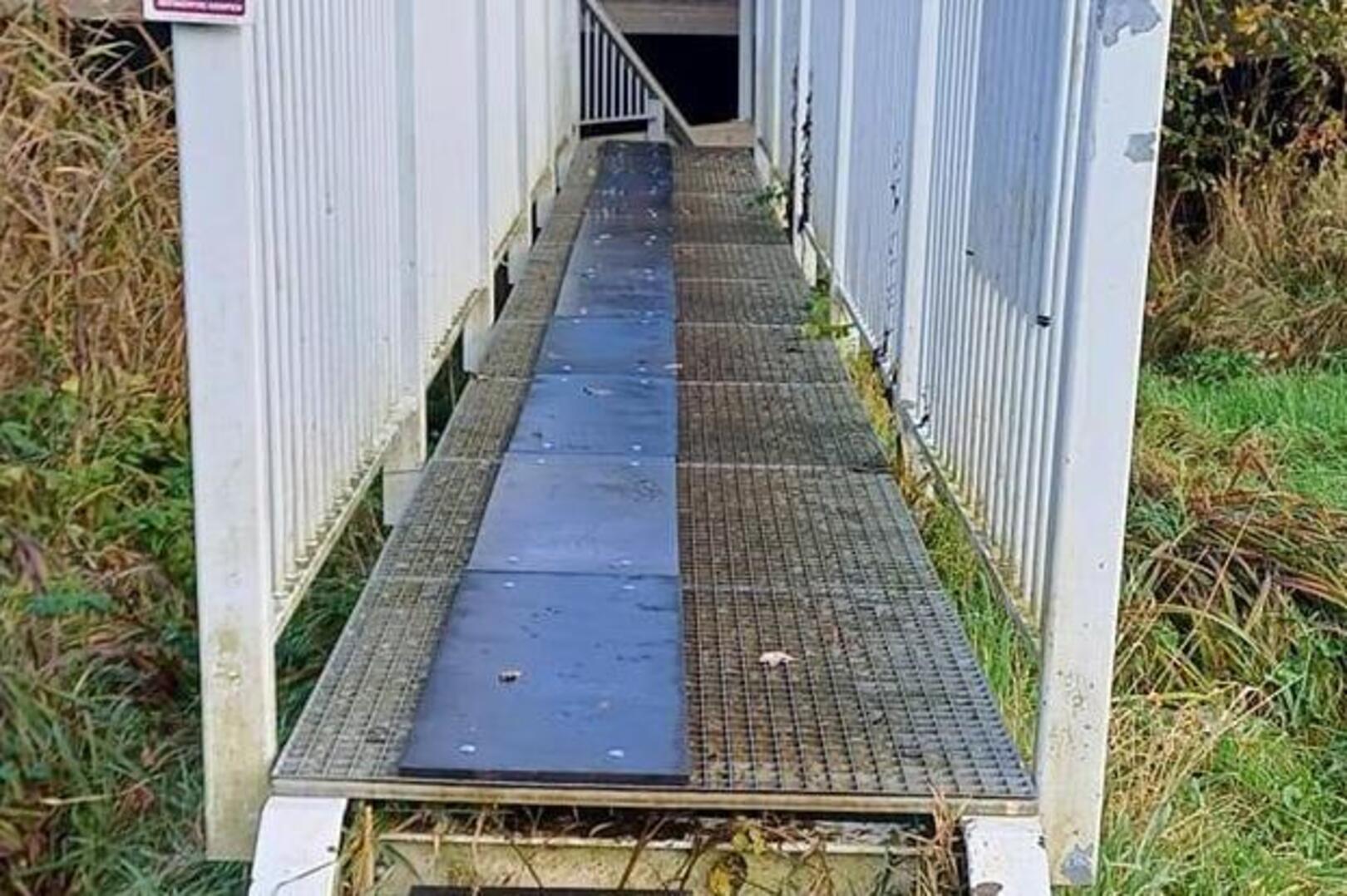 Rubberen matten maken brug hondvriendelijker | GVA