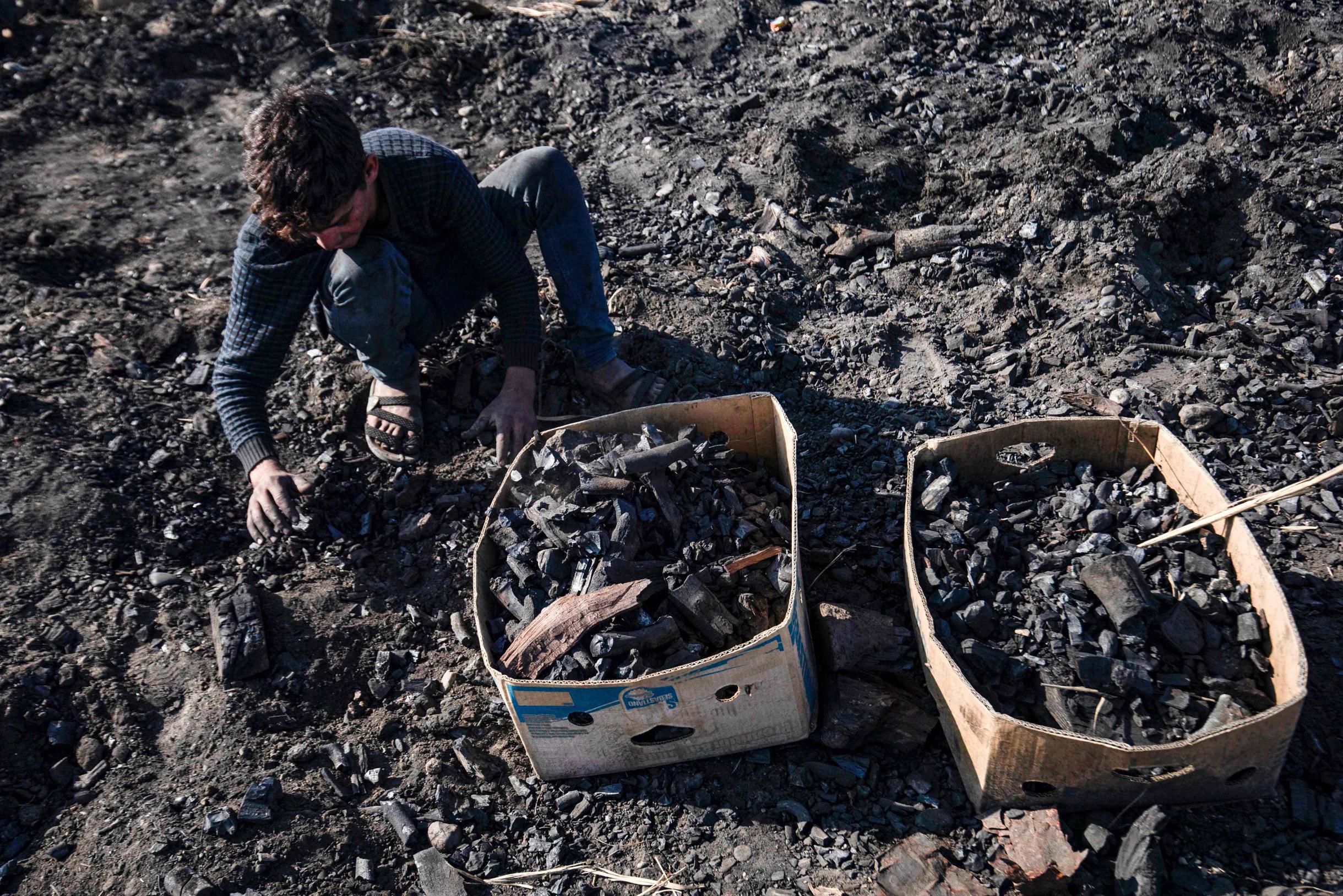 Grote banken blijven verslaafd aan steenkool | GVA