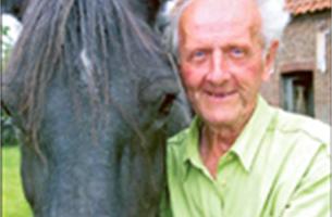 Verwaarloosde paarden weggehaald bij Boer Charel | GVA