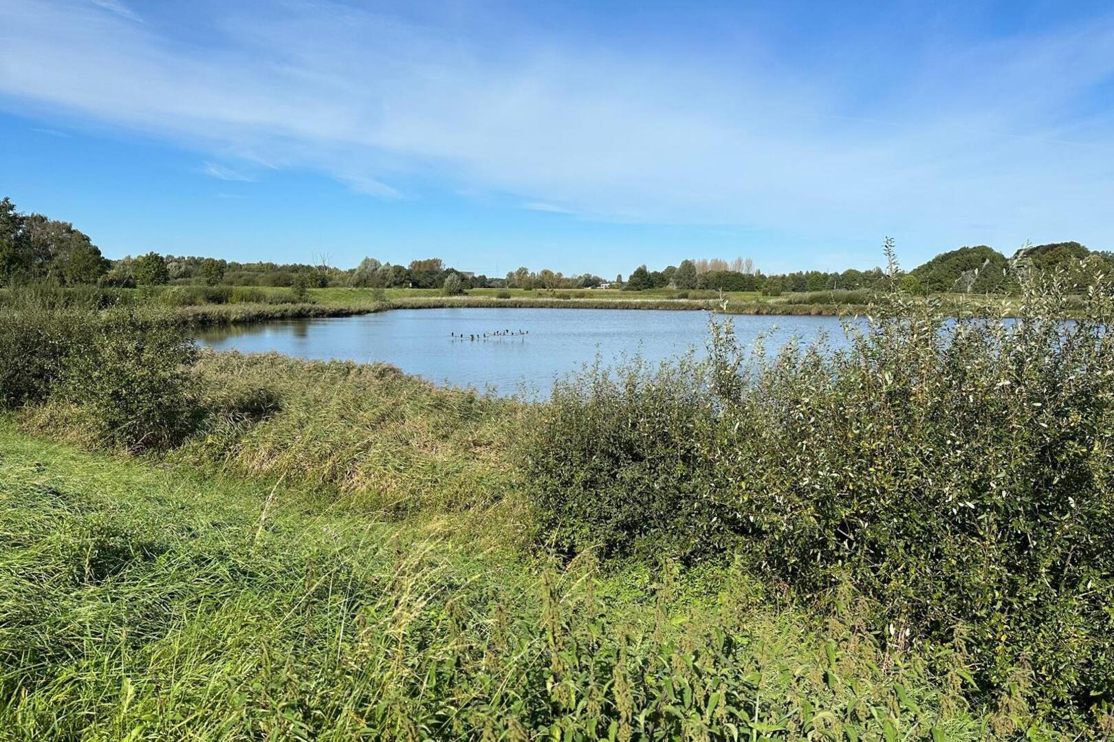 Lier krijgt er 81 hectare extra beschermde natuur bij: “Mooi cadeau ...