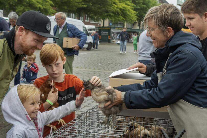 Geen dieren toegelaten op wekelijkse boeren- en dierenmarkt door hitte ...