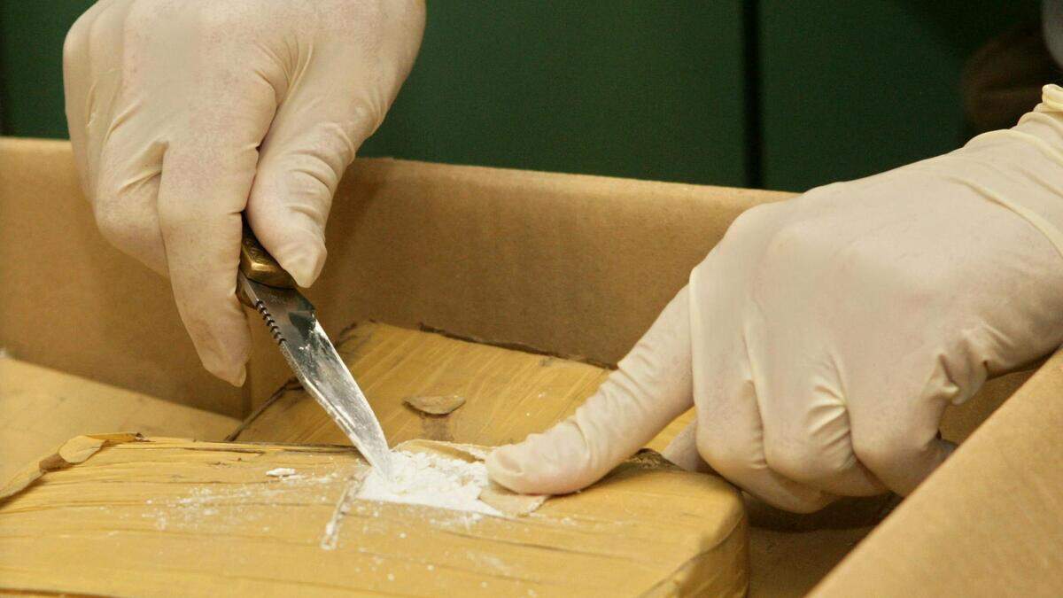Alerte buren leiden politie naar 208 kilogram cocaïne en zes ...