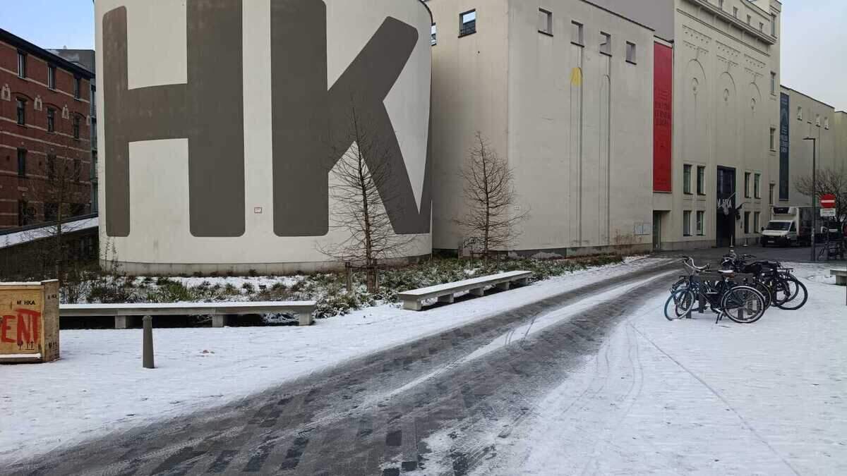 M HKA stelt “flagrante onwettigheden” vast in hertekening ...