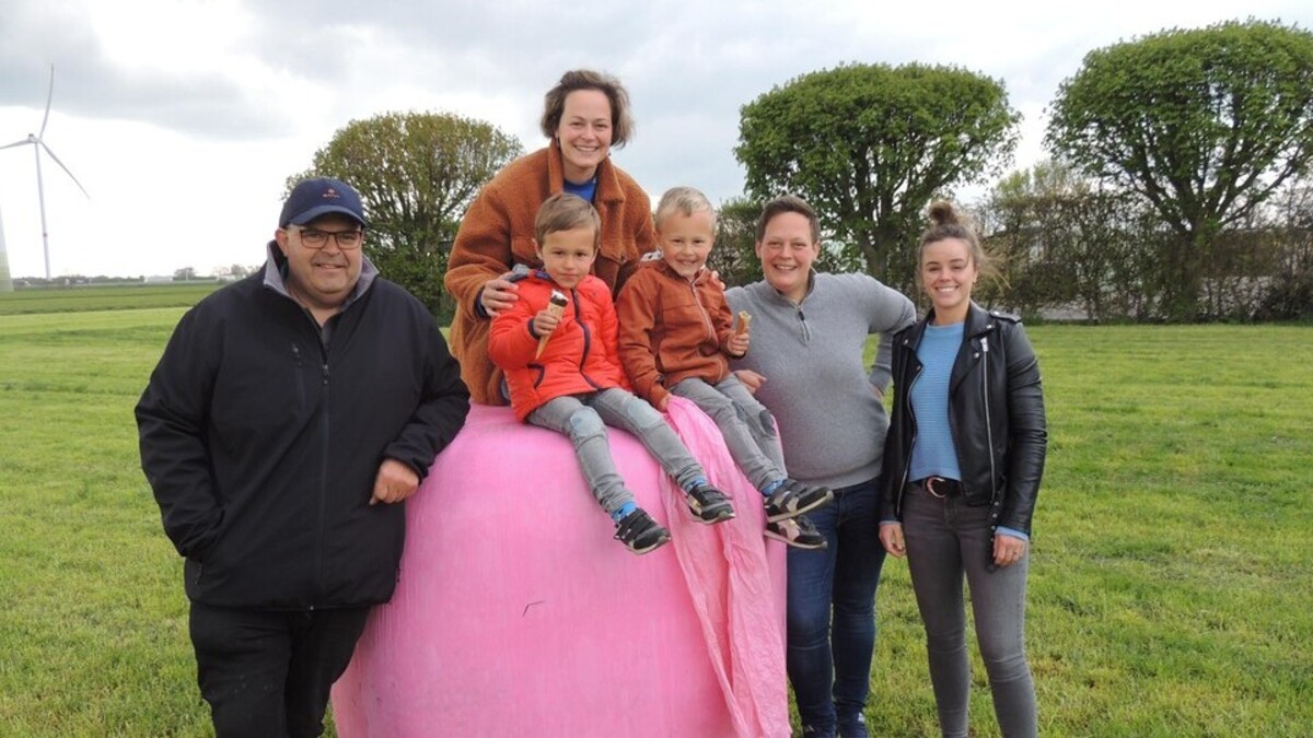 Loenhouts gras verpakt in roze balen als eerbetoon aan overleden ...