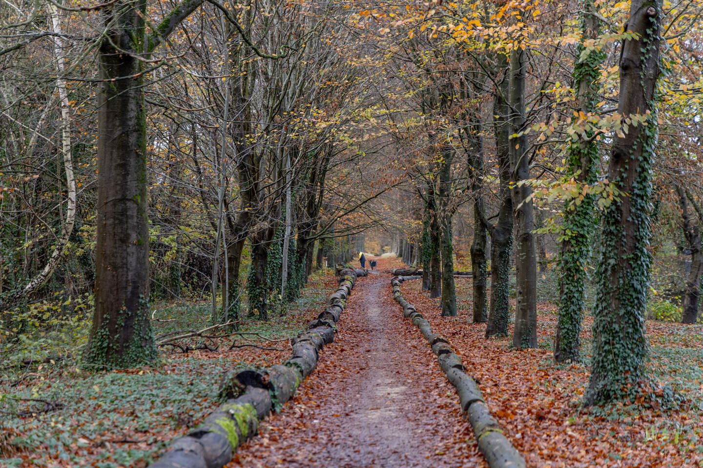Het dak van de provincie ligt op de ‘Bjeizelberg’: “Op een heldere dag ...