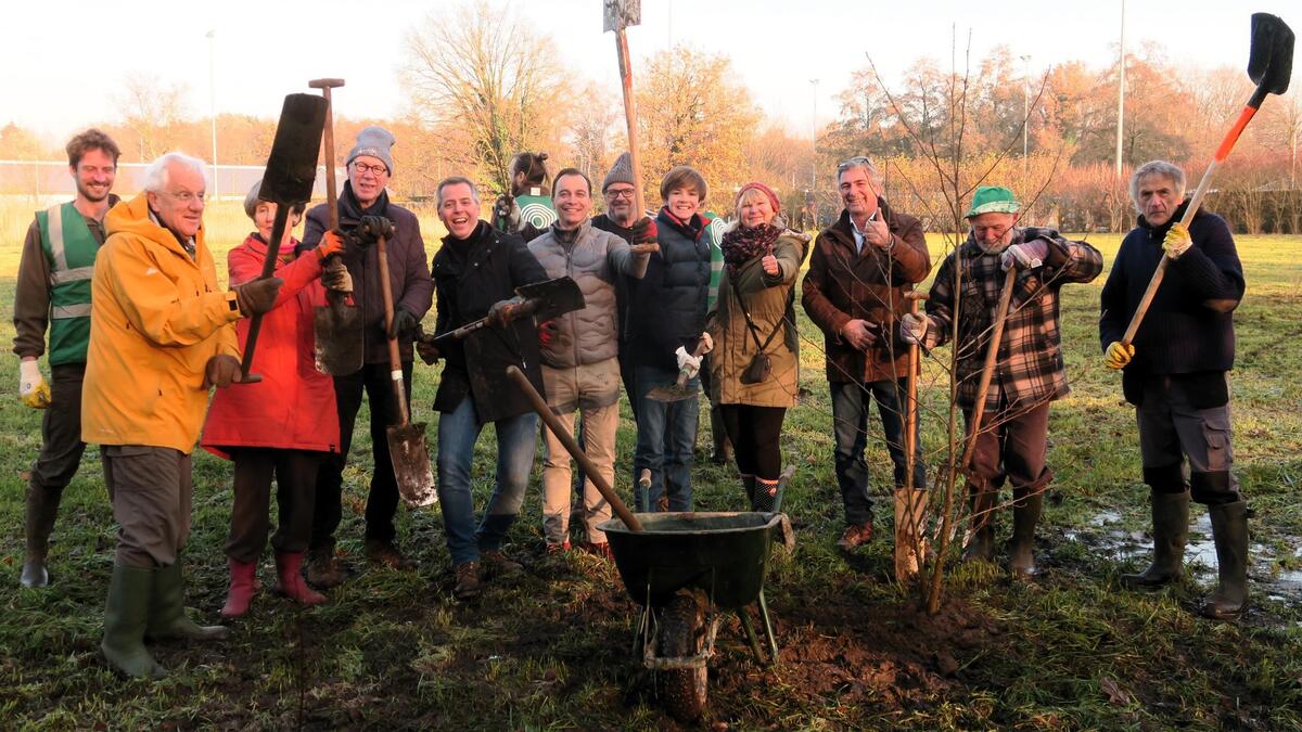 Oldtimerbos compenseert luchtvervuiling jaarlijkse rally: 1200 bomen ...