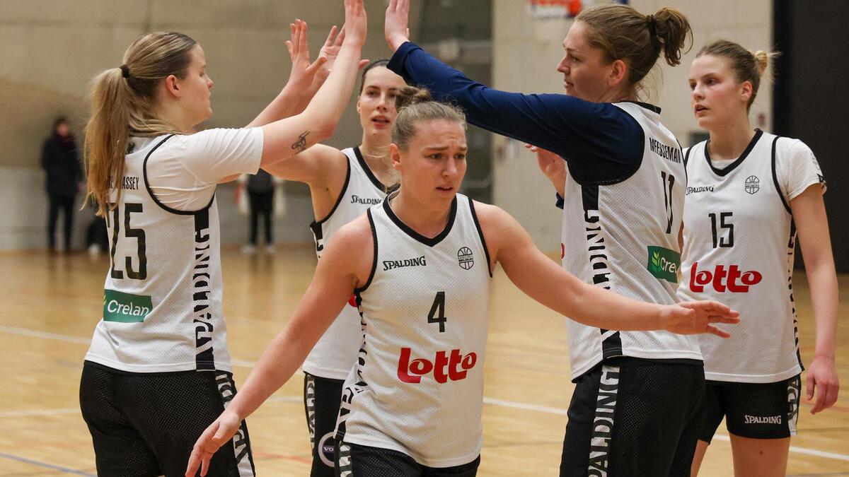 Belgian Cats vatten EK-voorbereiding aan | GVA