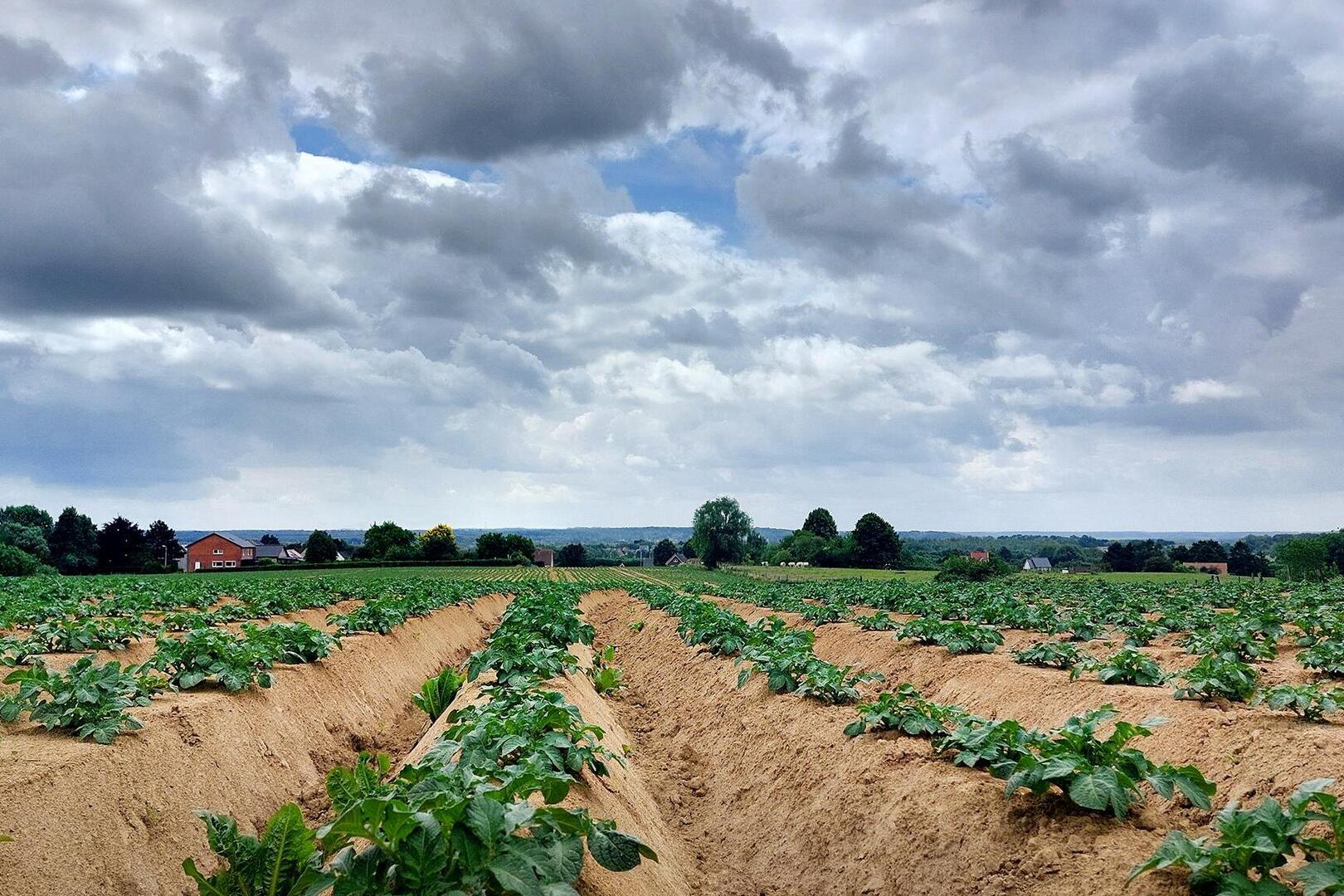 Acteur Geert Van Rampelberg: “Ik ben als 15-jarige in elkaar geslagen ...
