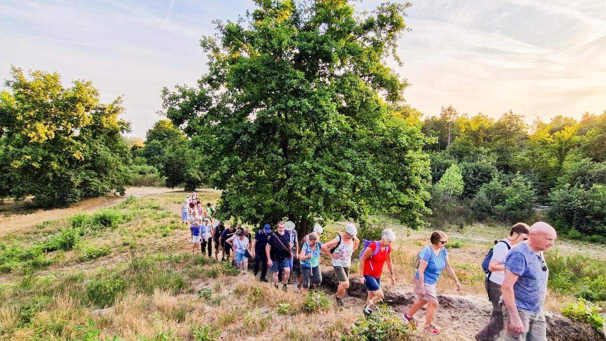 Pasar zet deze zomer de mooiste wandelplekken van Rivierenland in de ...