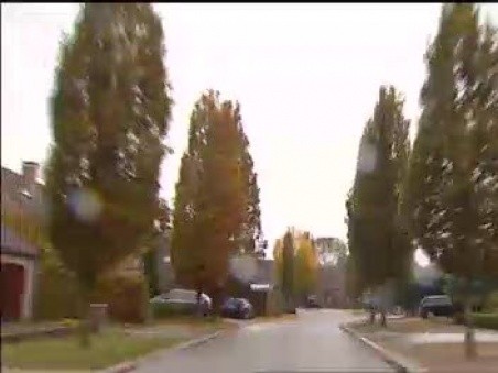 Ruzie om rij bomen | HBVL