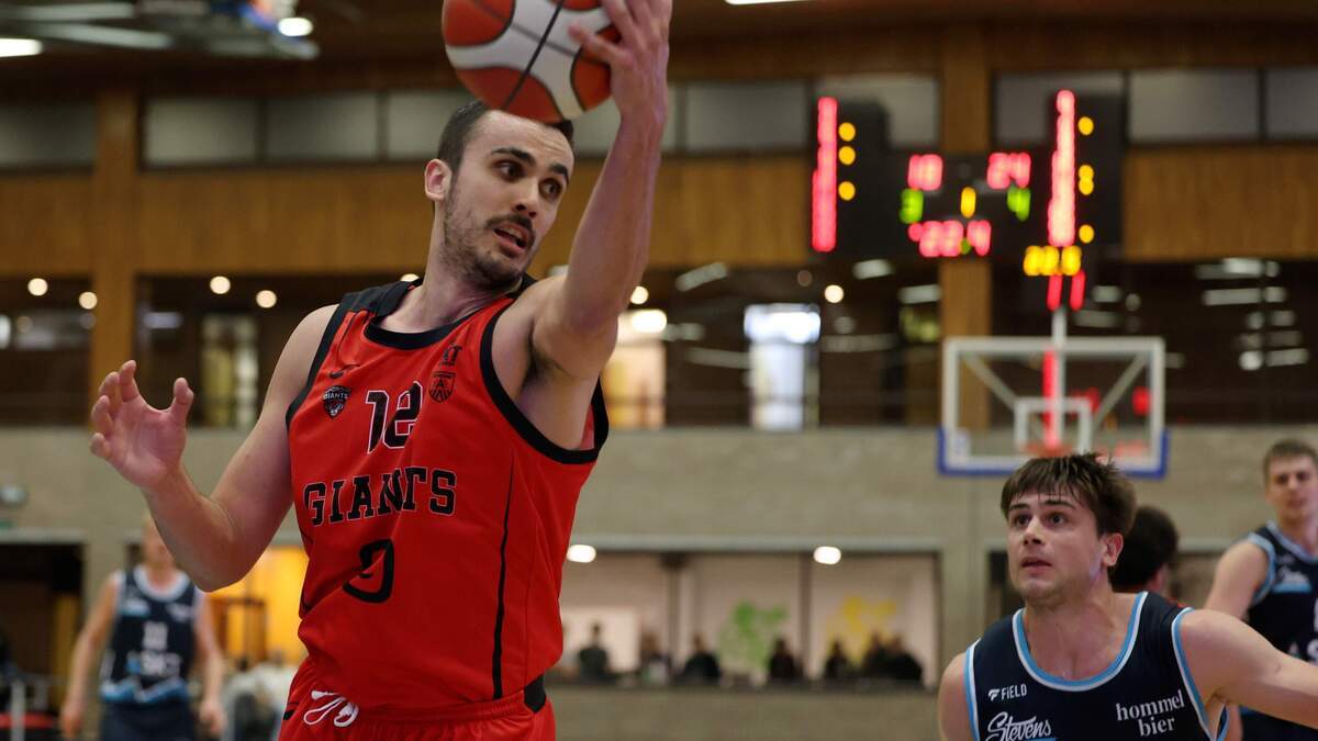 Windrose Giants Antwerp zonder problemen naar 1/8ste finale Beker van ...