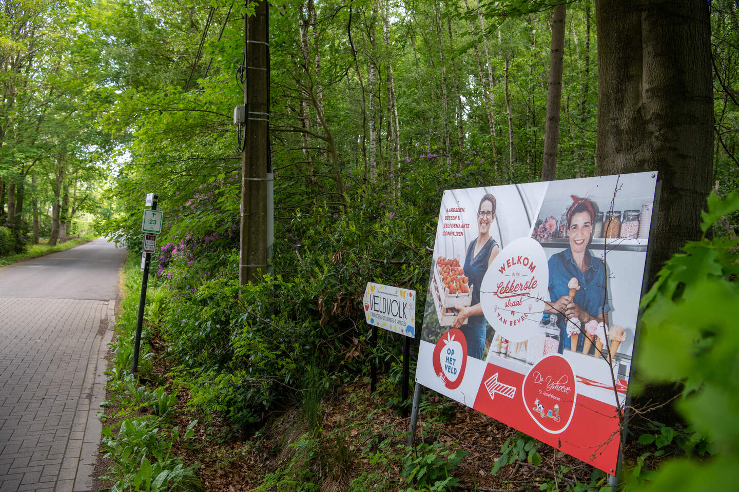 Op de trappers langs de lekkerste straat van Bevel en het stilste ...