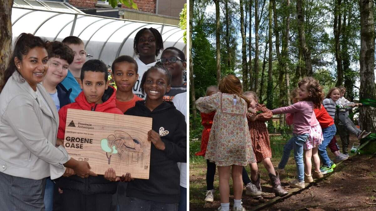 Drie Kempense scholen beloond voor aanleg groene zones: “Nood aan rust ...