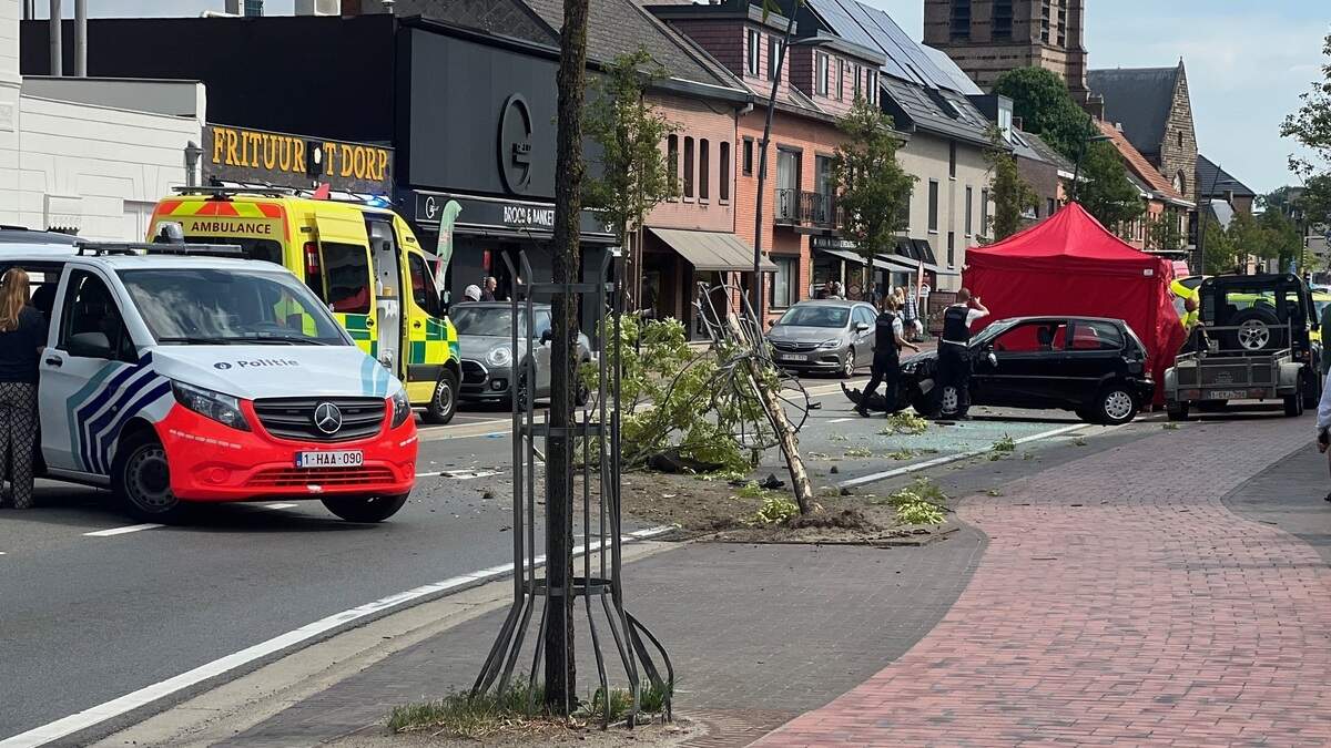 Bejaarde vrouw (88) overlijdt na zware klap tegen boom: slachtoffer ...