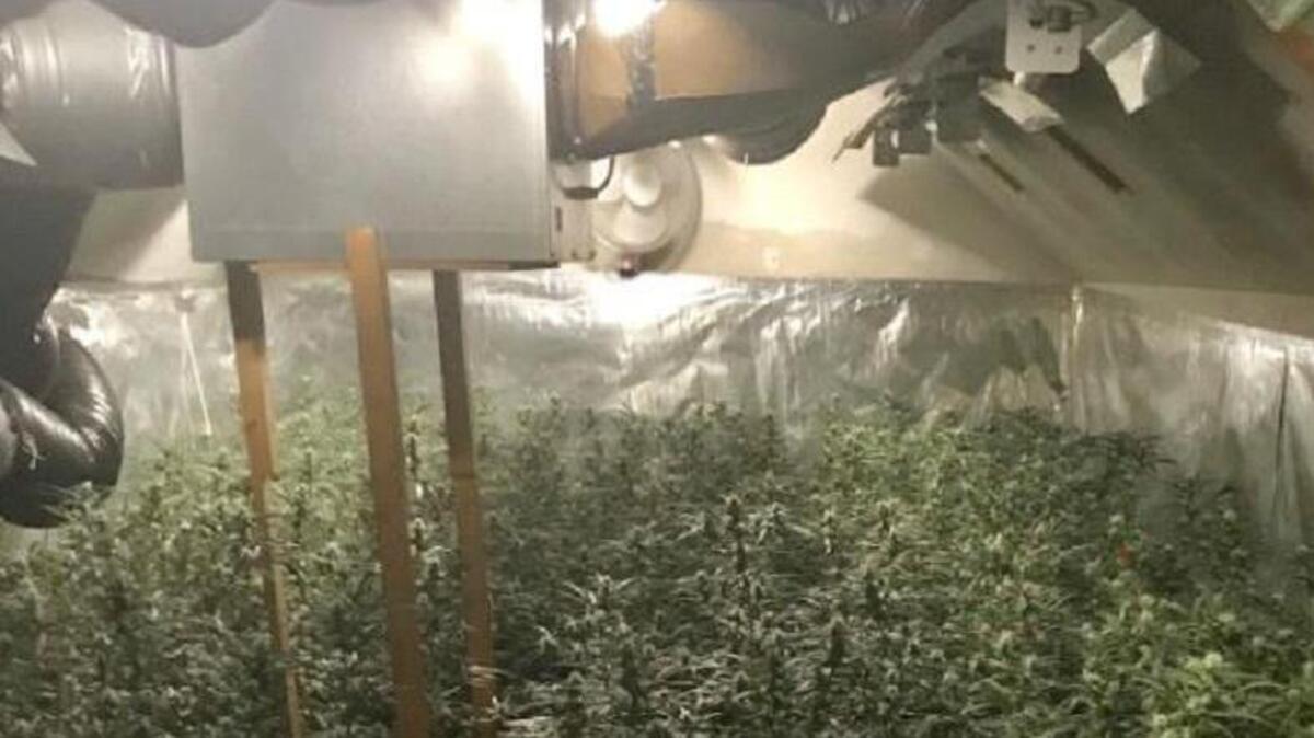 Onbekenden dumpen afval cannabisplantage | GVA