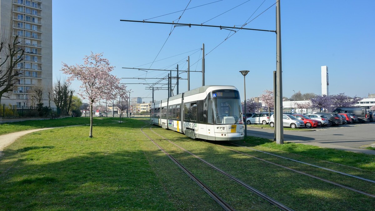 Dirk Wiesé van TreinTramBus over tramplannen van minister Lydia Peeters ...