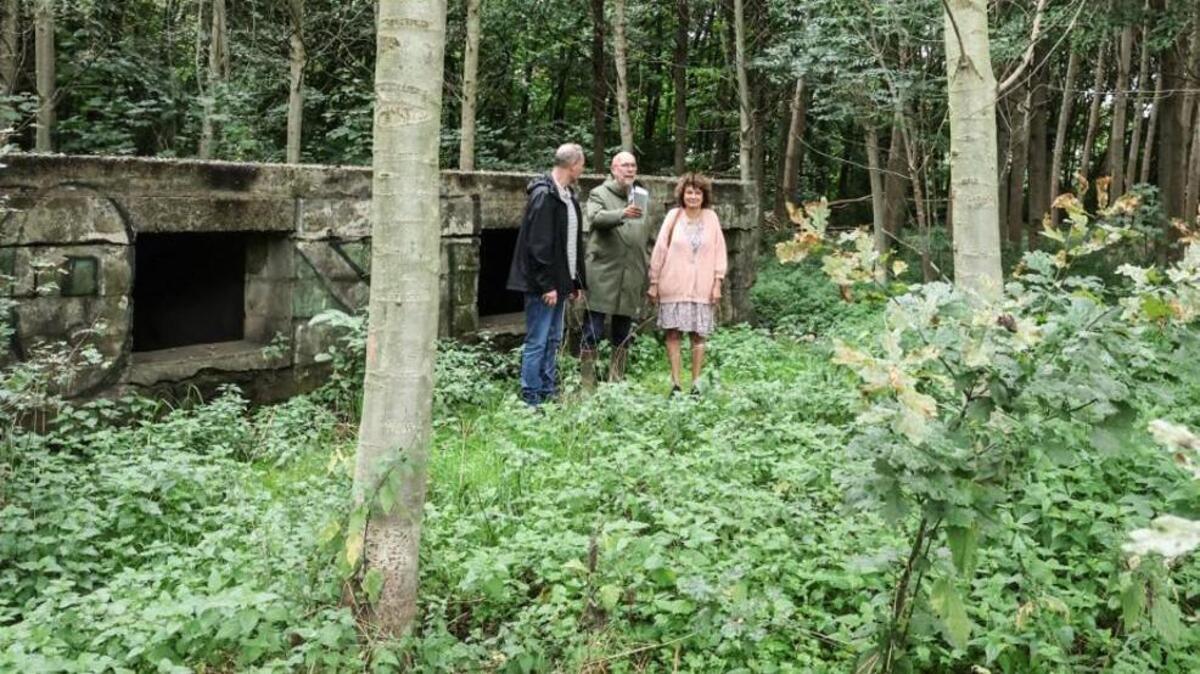 Werken aan verborgen groene parel tussen E19 en IJsvogelstraat zijn ...