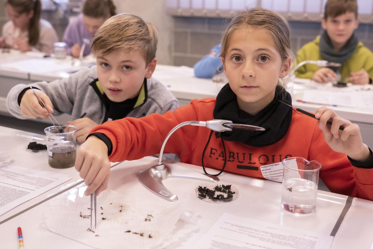 Van braakballenonderzoek naar zelf een robot maken: 550 leerlingen gaan ...