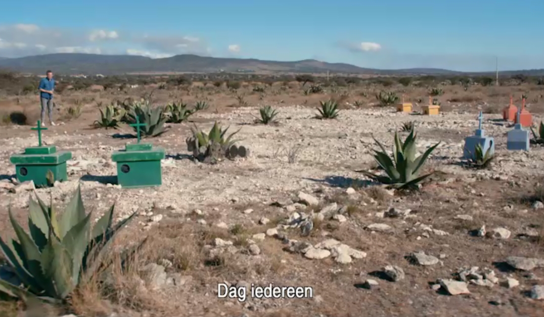 Kandidaten levend begraven? ‘De Mol’ lost beelden van bloedstollende ...