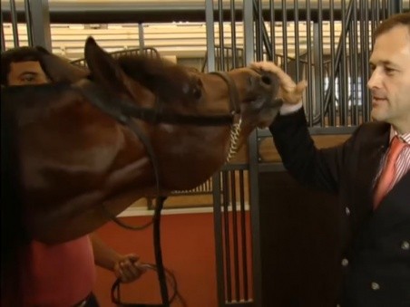 Belg fokt raspaarden in Qatar | GVA