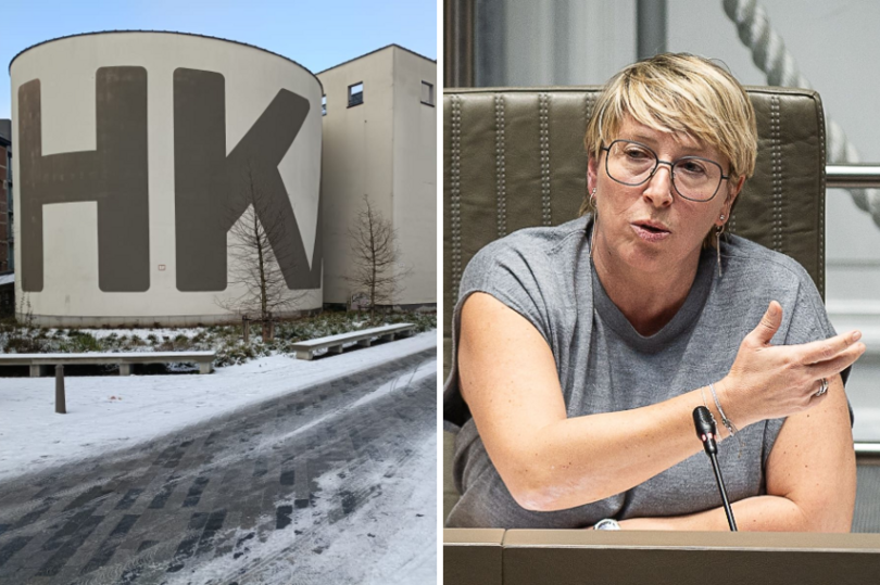 Cultuurminister Gennez maakt opening naar M HKA: dan toch museale ...