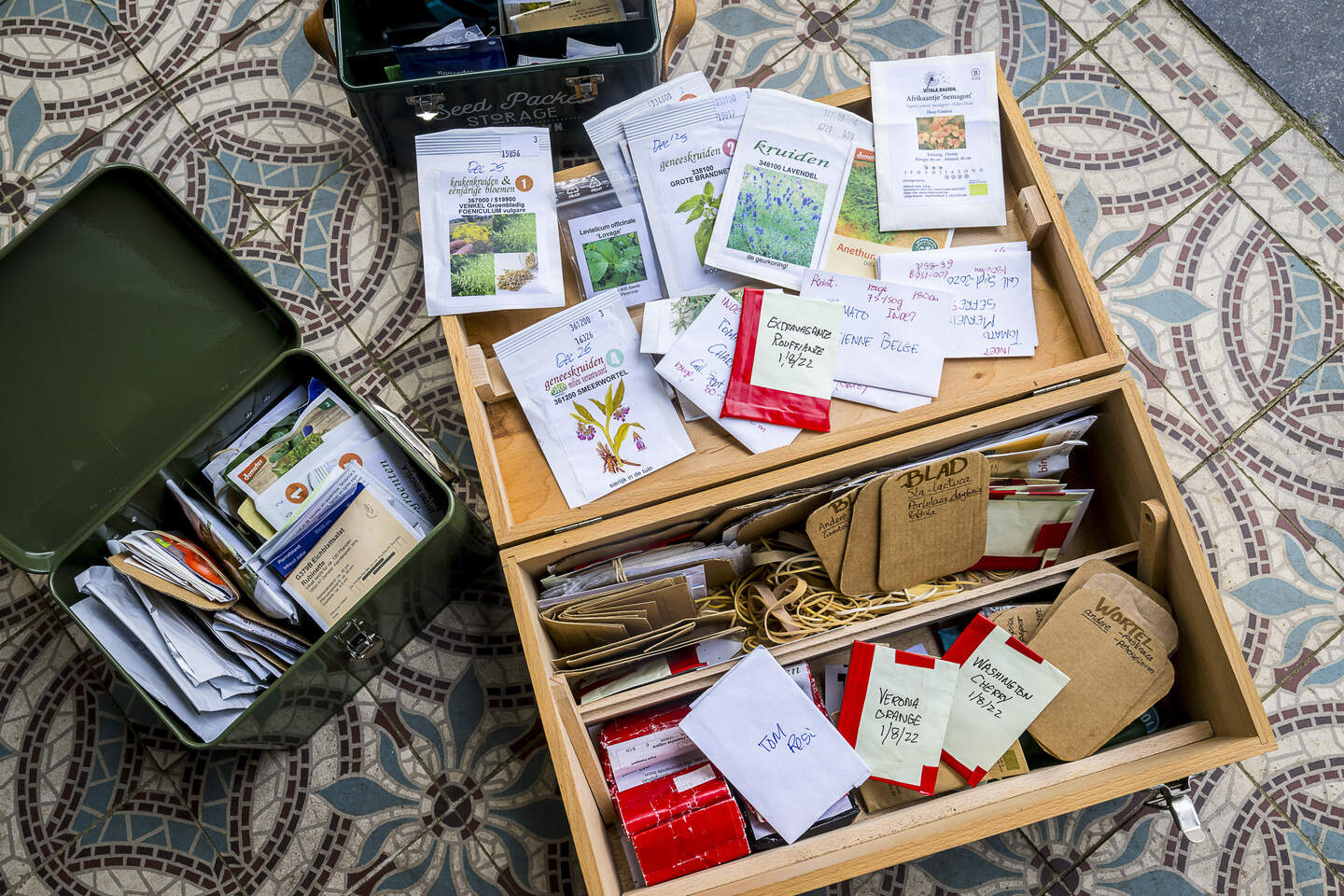 Botanisch paradijs in Kapellen: rond de authentieke cottage van Yvan en ...