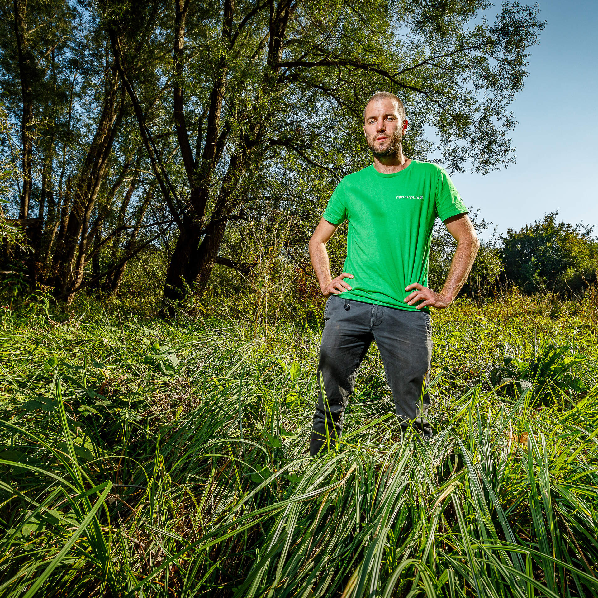 Nils (39) spot opnieuw zeldzame roze sprinkhaan in tuin van Mechelse ...