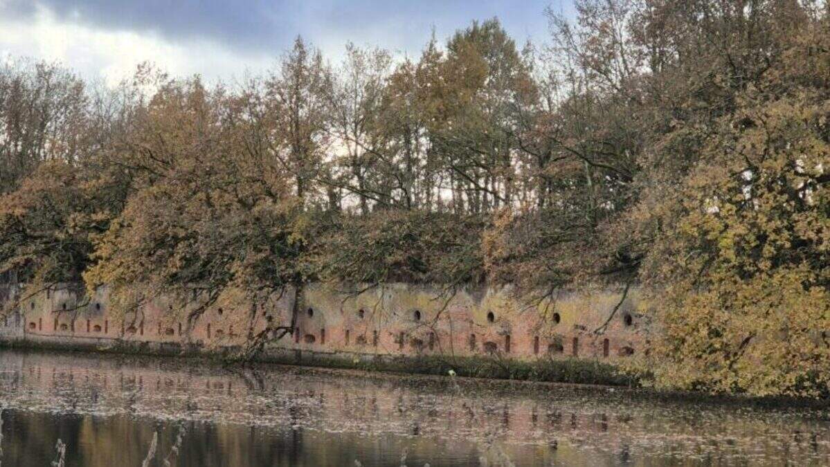 Laatste gegidste wandeling van het jaar door DocC Borsbeek | GVA