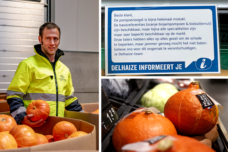 Zijn er te weinig pompoenen dit jaar of is er andere reden waarom ...