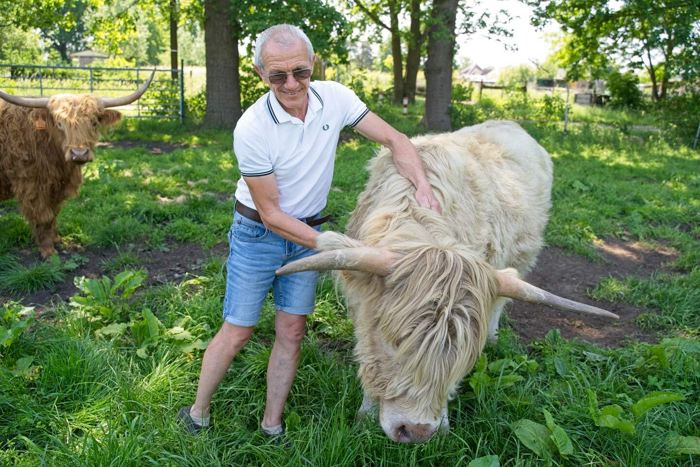 "Mijn koeien brengen de wijk tot rust": wijk Wezelhoef viert ...