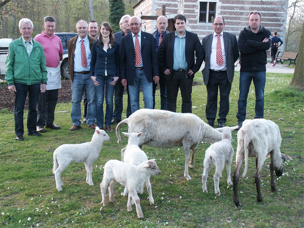 Schaepshoofden organiseren eerste Dag van het Schaap | GVA