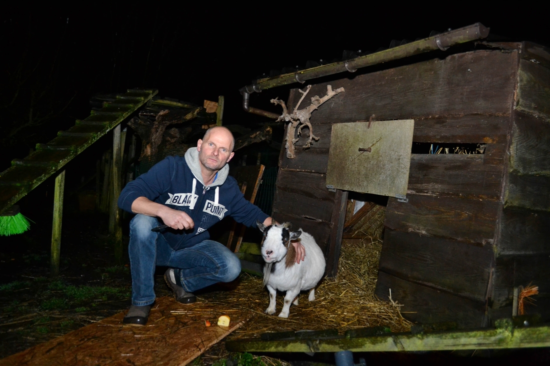 Koppel krijgt 200 euro boete omdat hun stokoude geit geen chip heeft ...