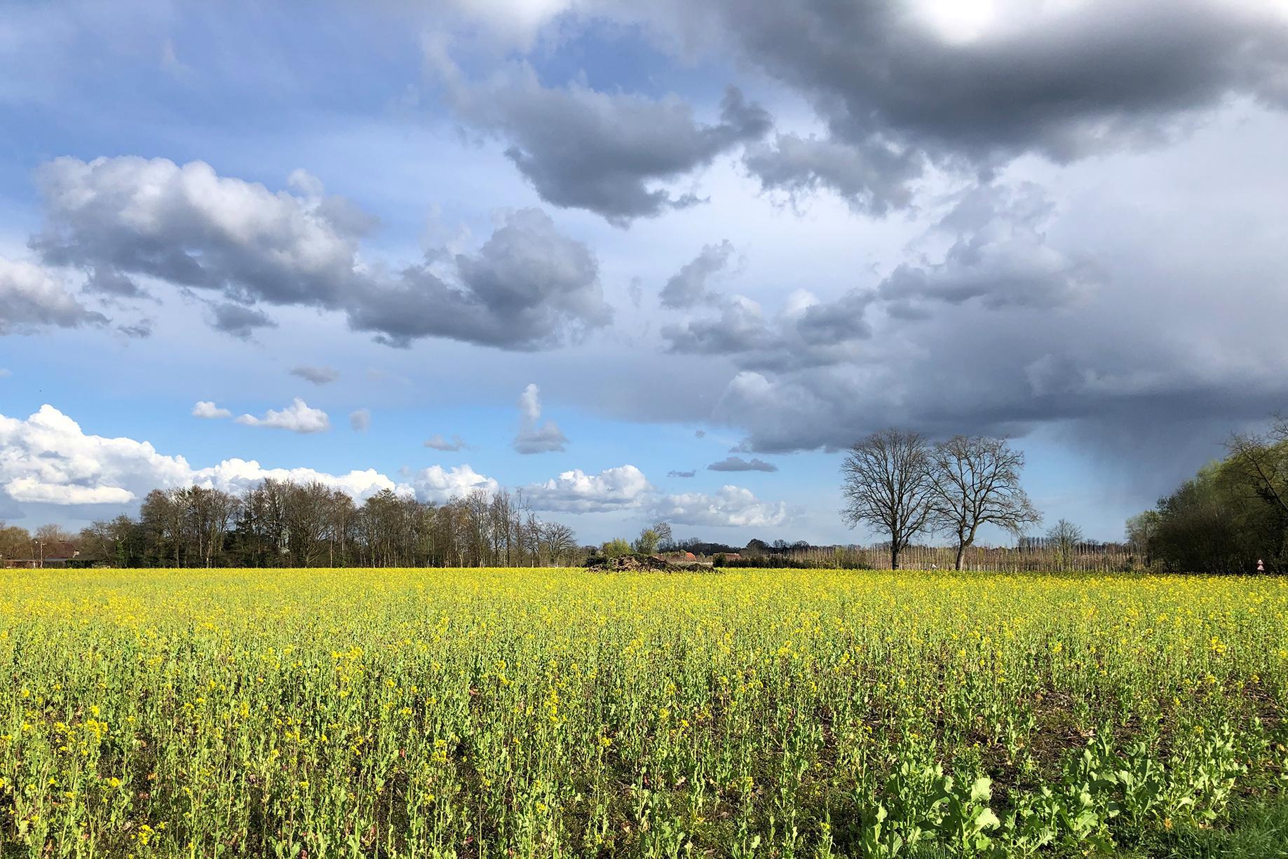 Dit weekend afwisselend zon en wolken | GVA