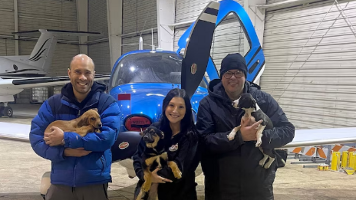 Amerikaan vliegt van staat naar staat om honden te redden: “De grootste ...