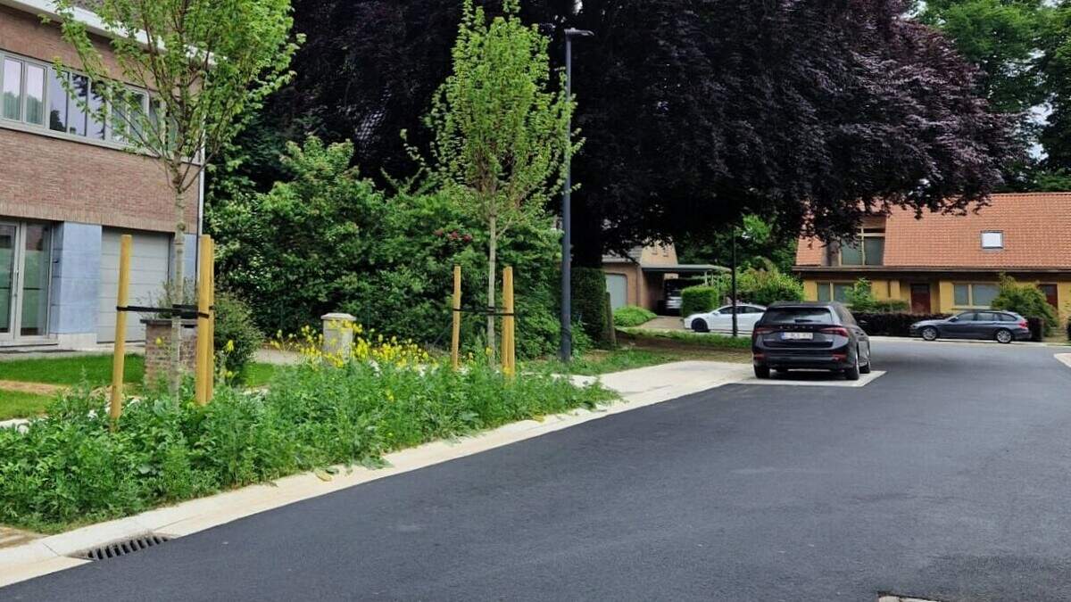 UPDATE. Proefopstelling maakt van De Ster in Hove tijdelijk een woonerf ...