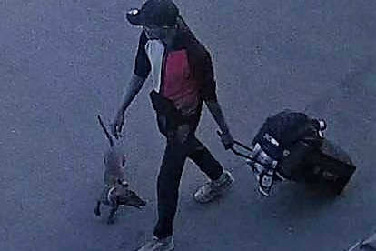 Man deelt foto van gestolen hond, politie vindt hem terug bij louche ...