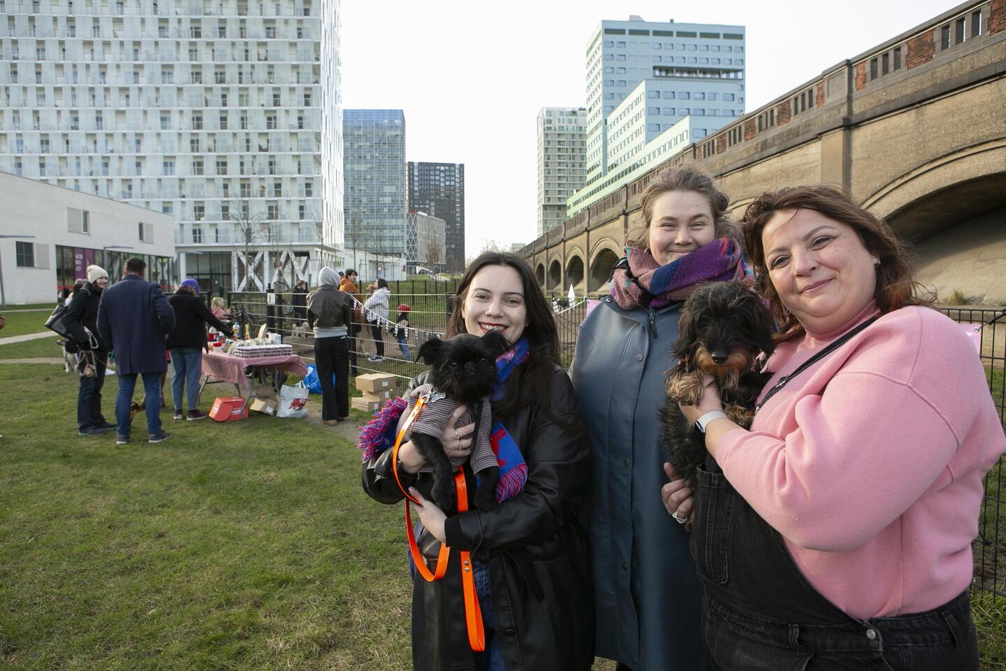 Nieuwjaarsreceptie voor honden in Park Spoor Noord, inclusief bier ...