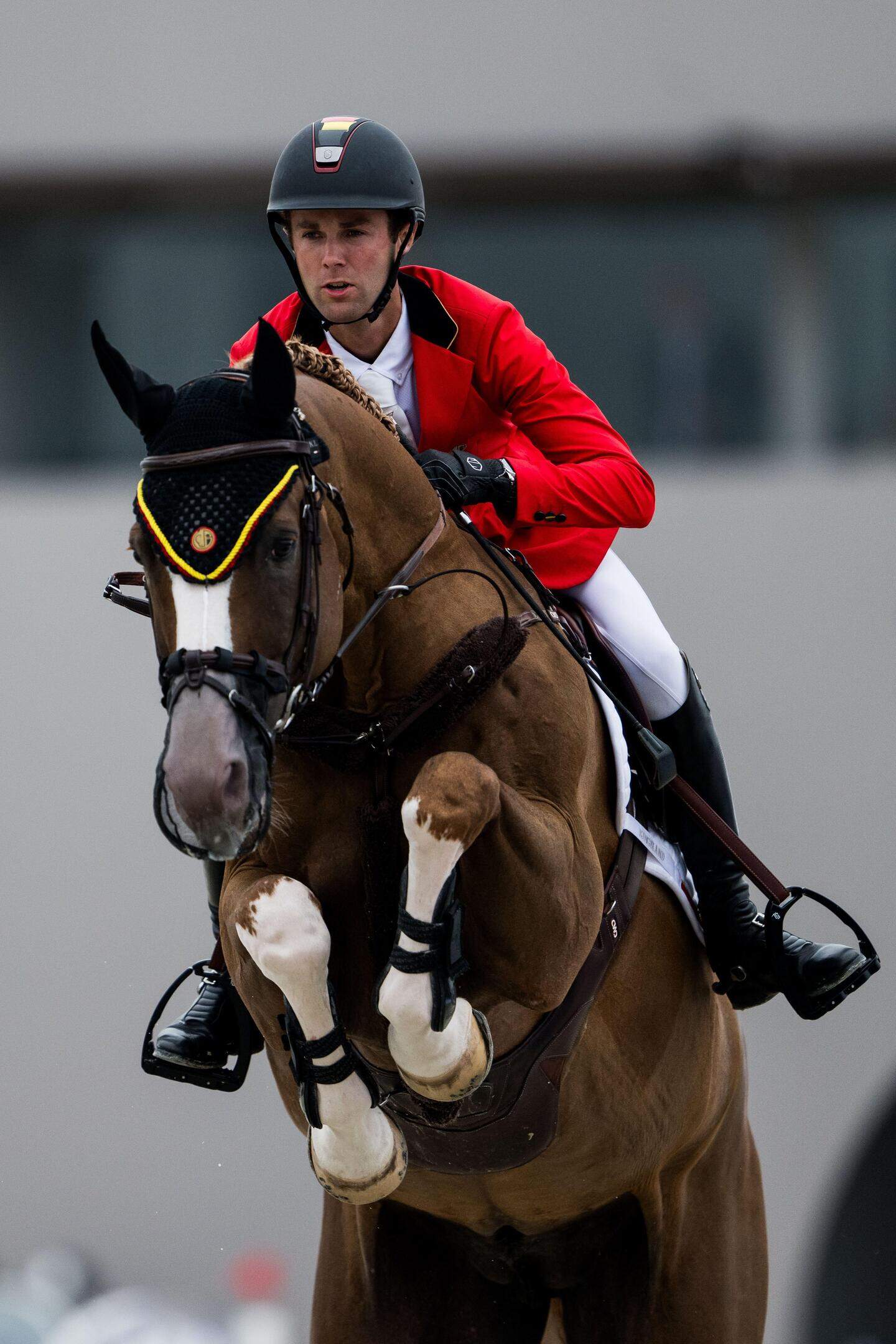 Broechemse hengstenhouder weer thuis na succes op Europees ...