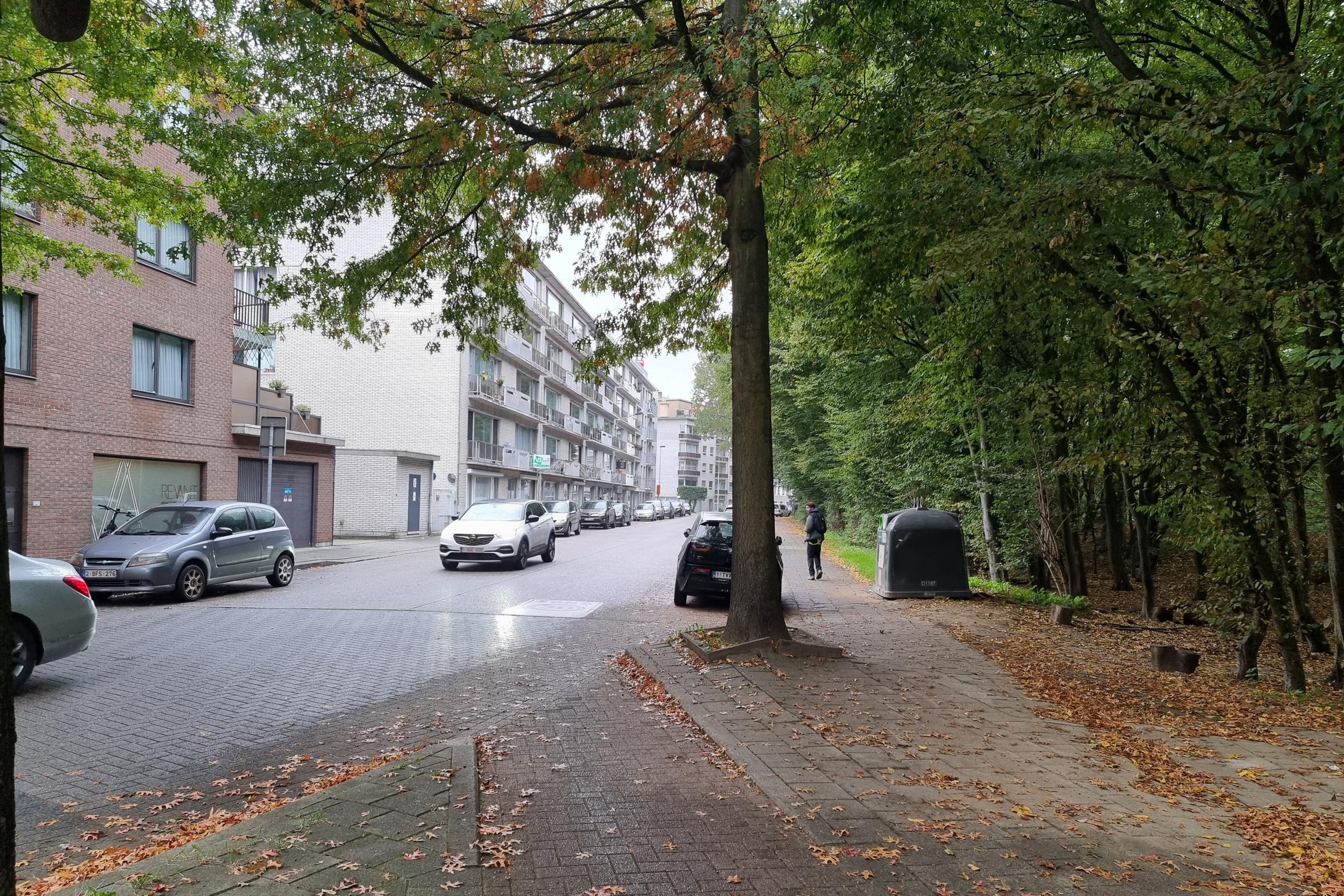 Schotensesteenweg en Eugeen Fahylaan in 2023 en 2024 op de schop | GVA