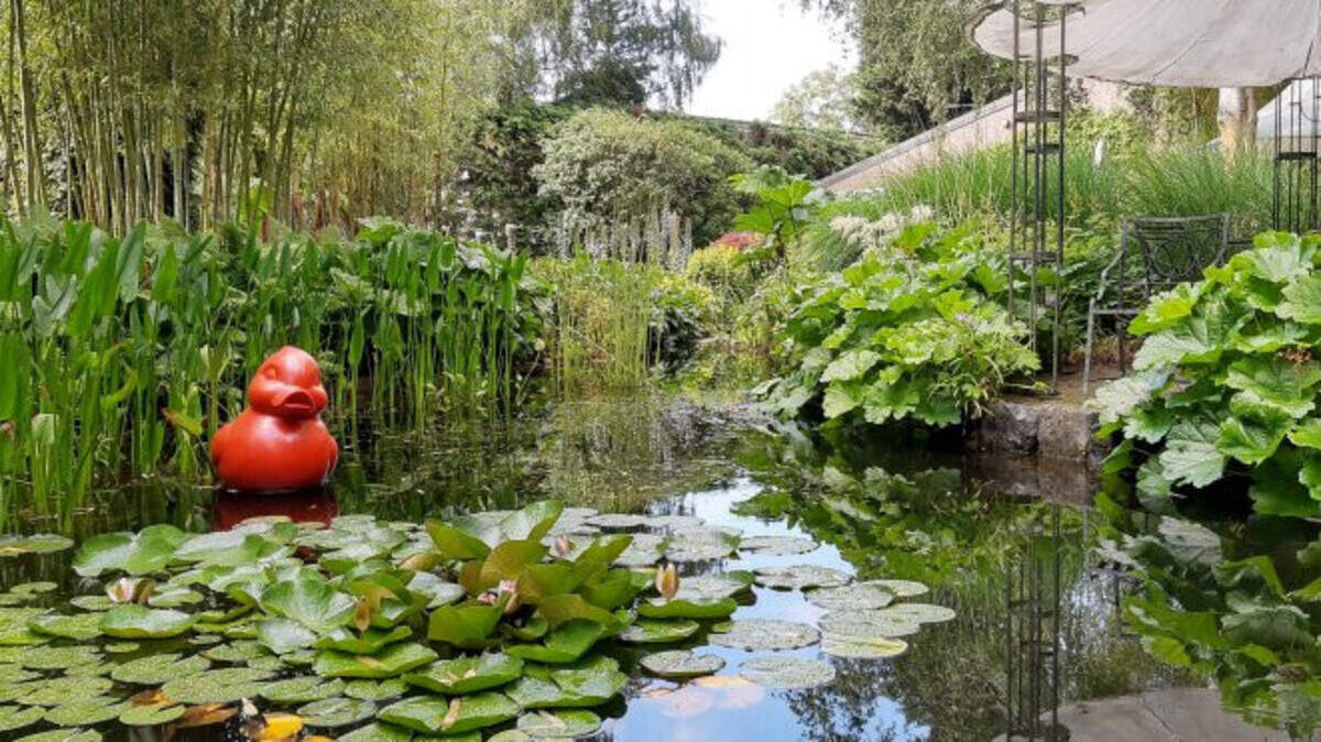 Sint-Jobse vijvertuin ‘Sempre Verde’ vrij toegankelijk tijdens Open ...