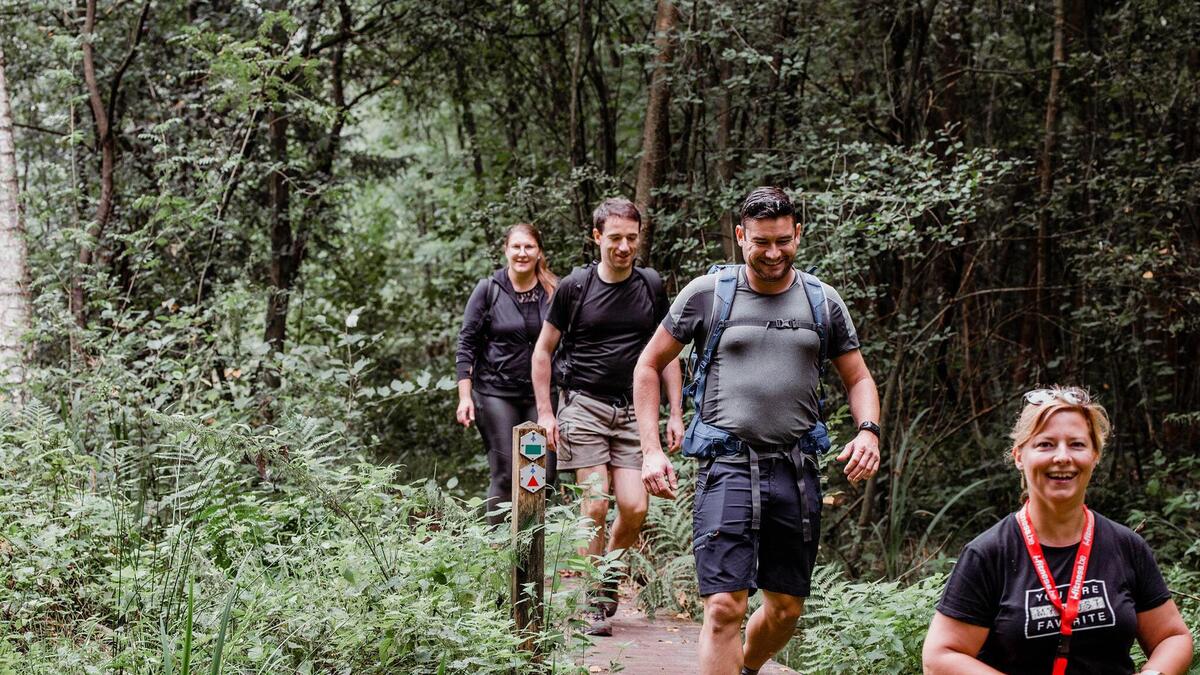 Inschrijvingen De Molse 60 starten op 1 december | GVA