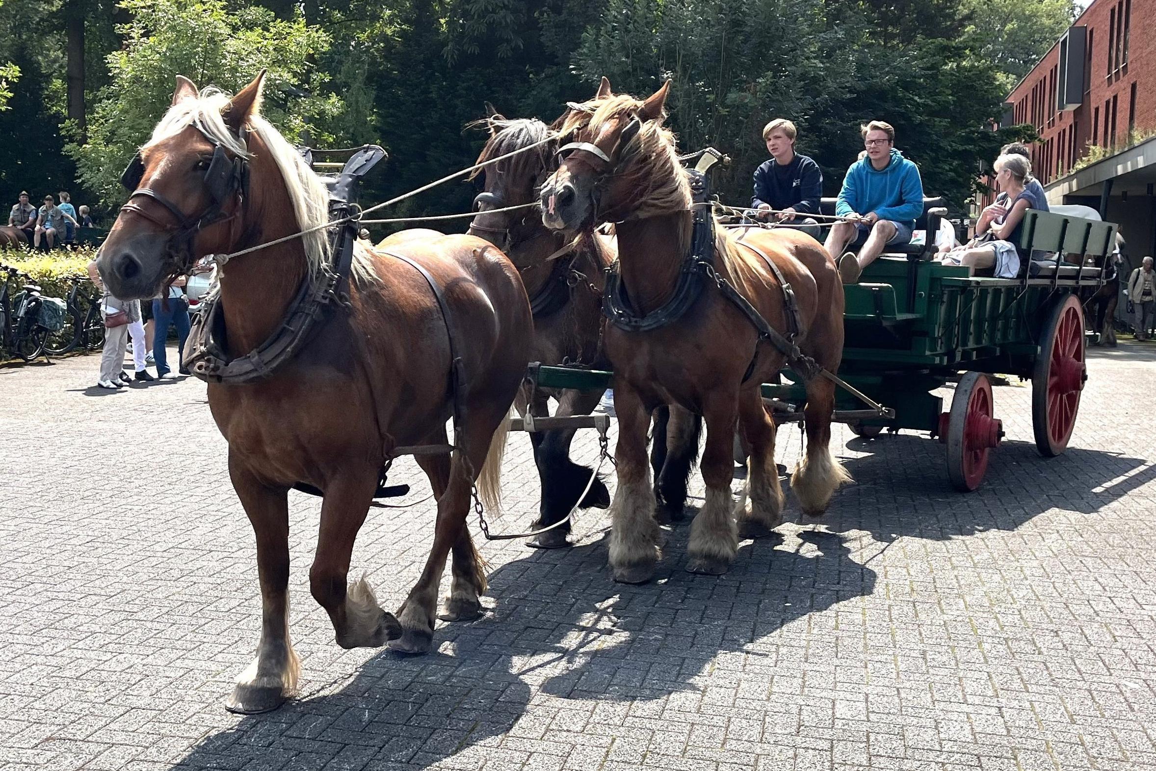 Tijs (21) en Maarten (19) doen met klavertje drie mee aan driedaagse ...