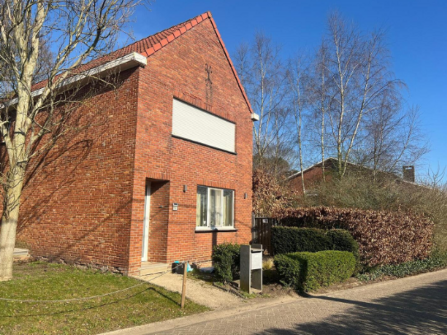 Verwaarlozing van 60 chihuahua’s levert aparte veroordeling op voor ...