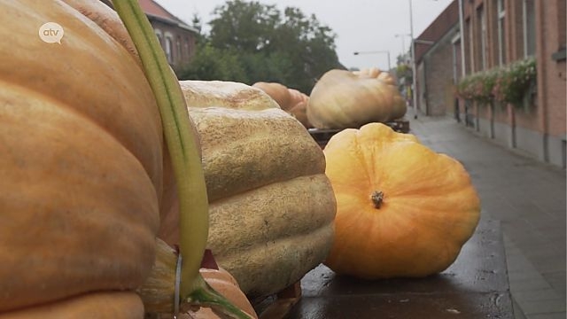 Megapompoen van bijna 400 kilogram (VIDEO) | GVA