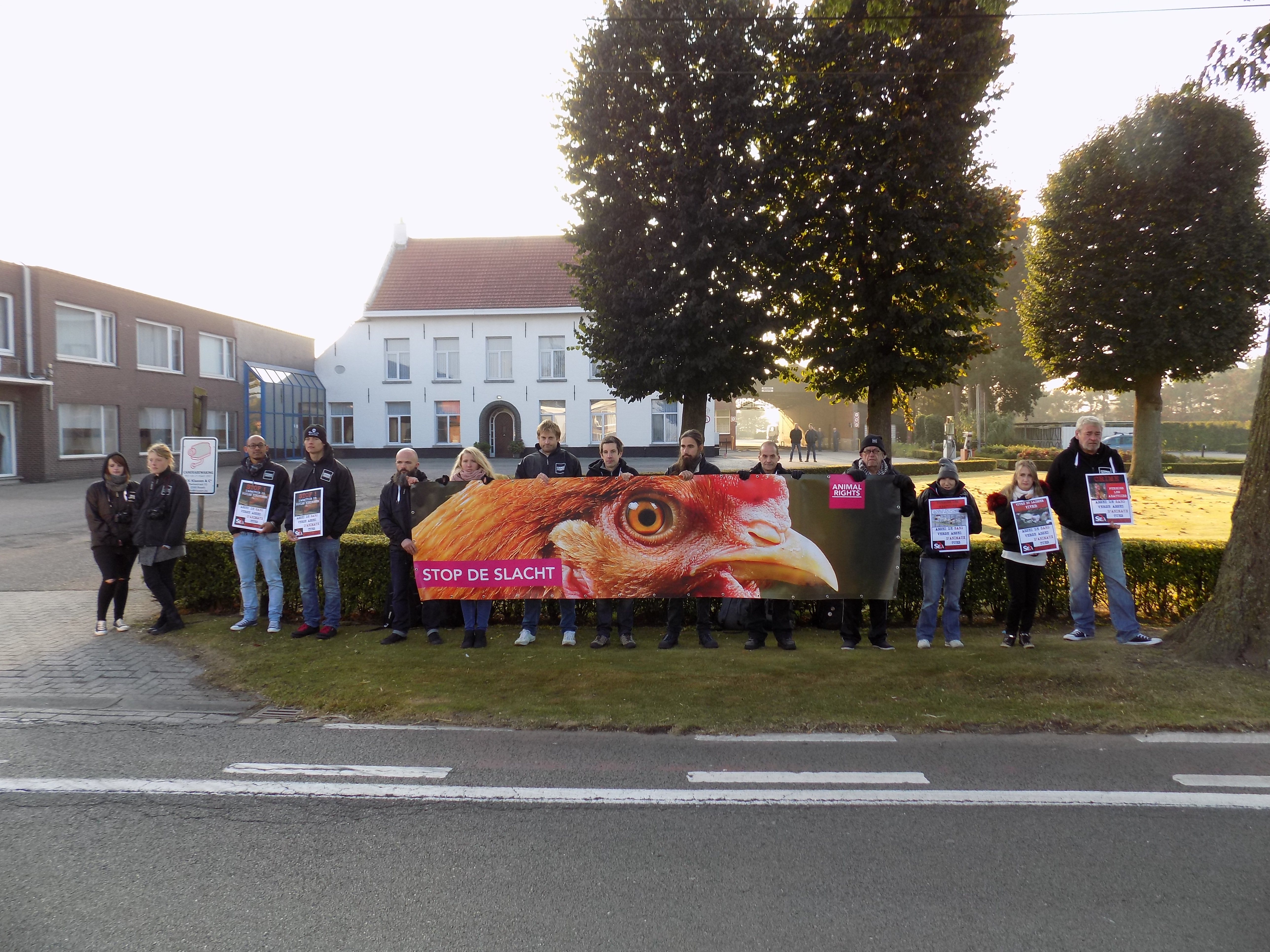 Animal Rights voert actie bij kippenslachterij Pluvera | GVA